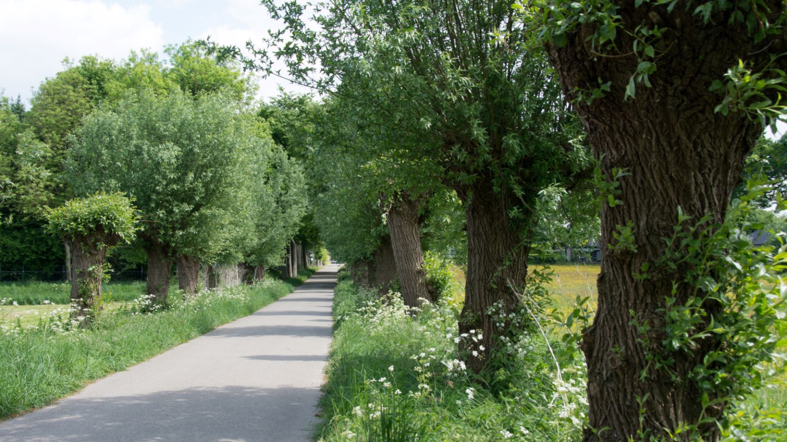 Wandelmarathon Roos van Roosendaal